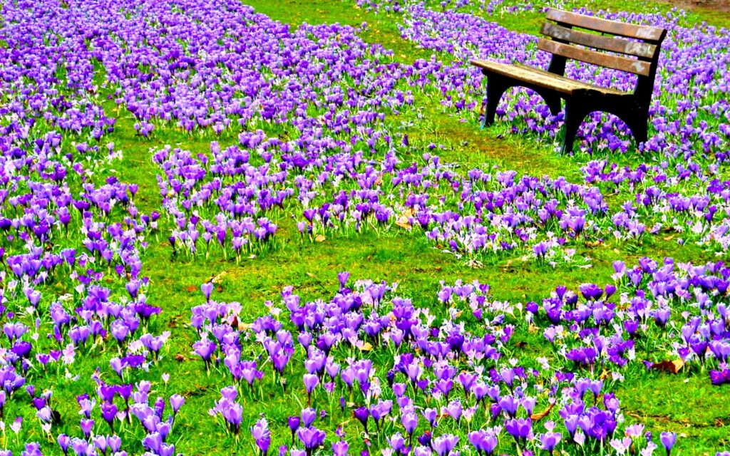 First Day of Spring!